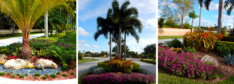 Home - Pan American Landscaping, LLC